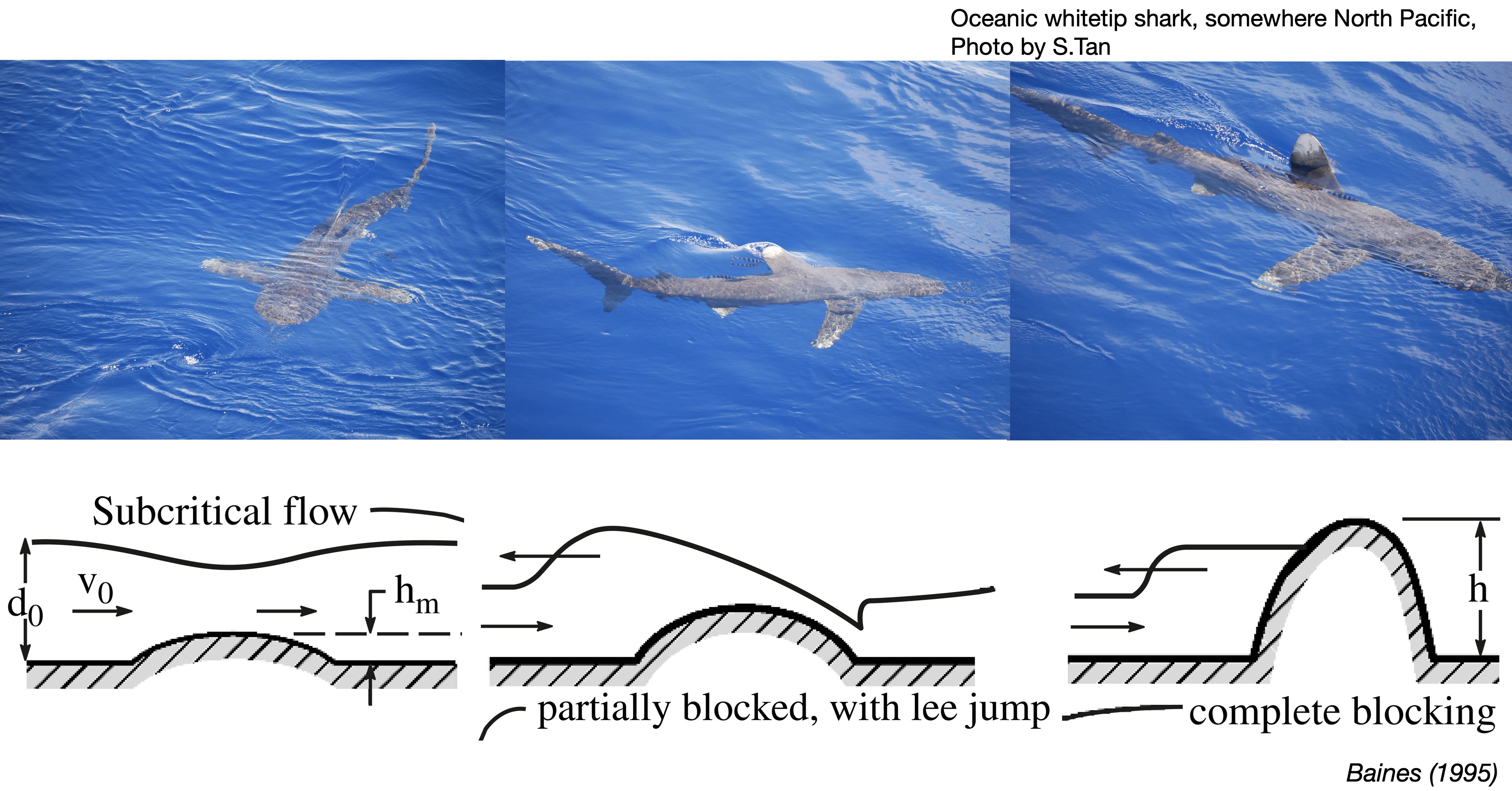 Intro to Physical Oceanography | Shuwen Tan